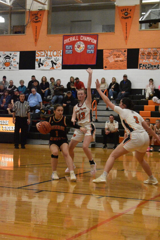 Monroe Central Ready For Challenge Against Zeps In 3A Title Game | News ...